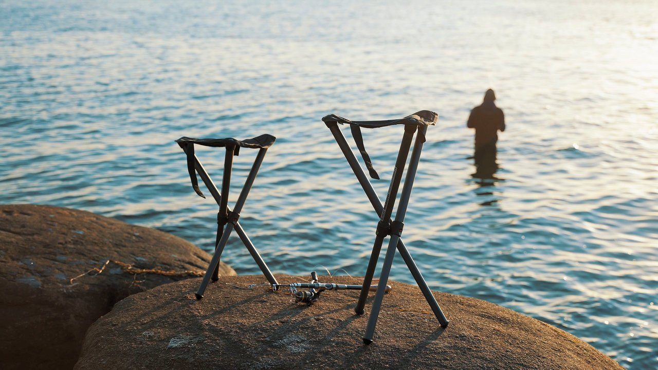 Walkstool Basic 50 cm